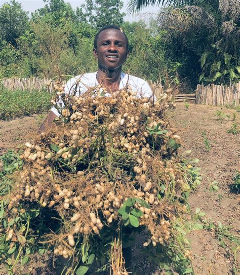 Growing The Grassroots