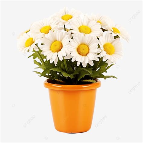 화분에 담긴 데이지 꽃의 힘 스티커 상표 꽃 전원 데이지 Png 일러스트 및 이미지 에 대한 무료 다운로드 Pngtree