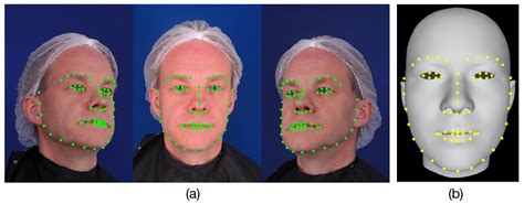 Sensors Free Full Text Three Dimensional Face Reconstruction Using Multi View Based Bilinear