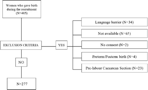 Sample Size Flow Chart Download Scientific Diagram