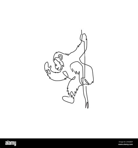 One Continuous Line Drawing Of Cute Chimpanzee Hanging On Tree Branch For Conservation Jungle