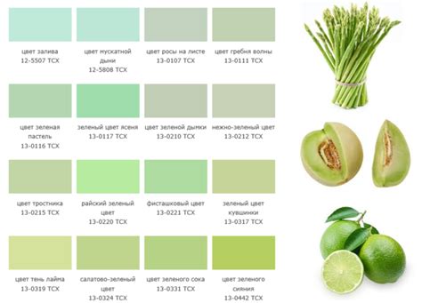 Какие есть оттенки зеленого цвета Какая палитра названия оттенков Оттенки зеленого Цветы