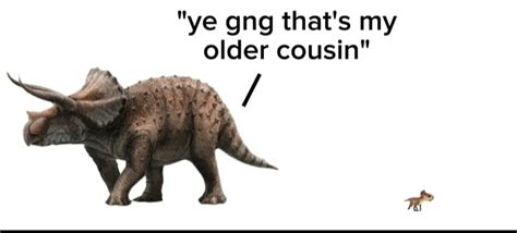 Return Of The Meme 1428 The Gateway Album On Imgur