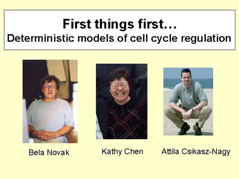 Stochastic Models Of Cell Cycle Regulation In Eukaryotes