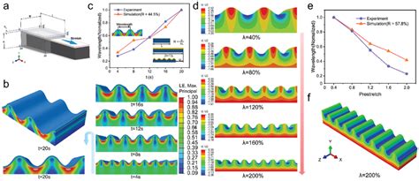 Finite Element Fe Simulation Of The Self‐wrinkling Deformation And Download Scientific