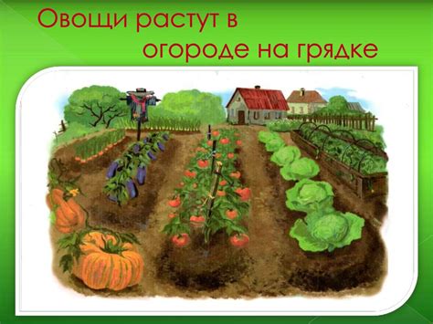 Овощи и фрукты презентация онлайн