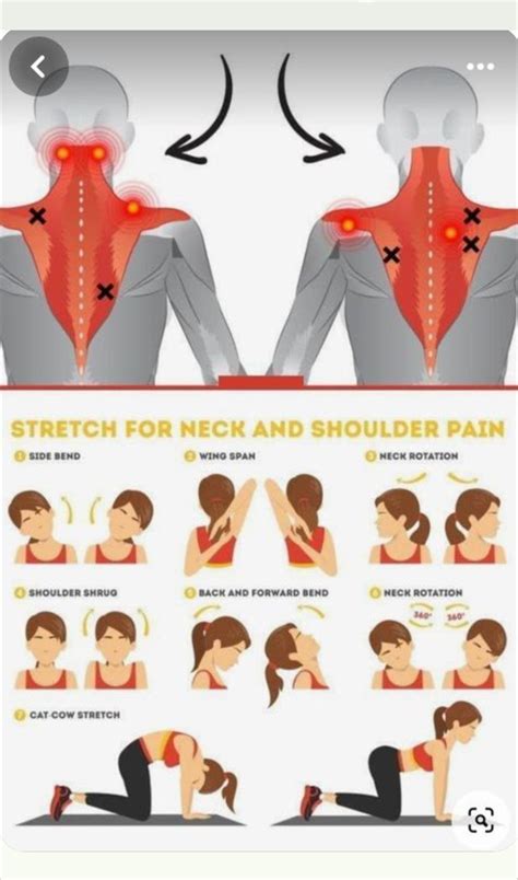 Best 12 15 Stretches To Relieve A Stiff Neck Tight Shoulders And