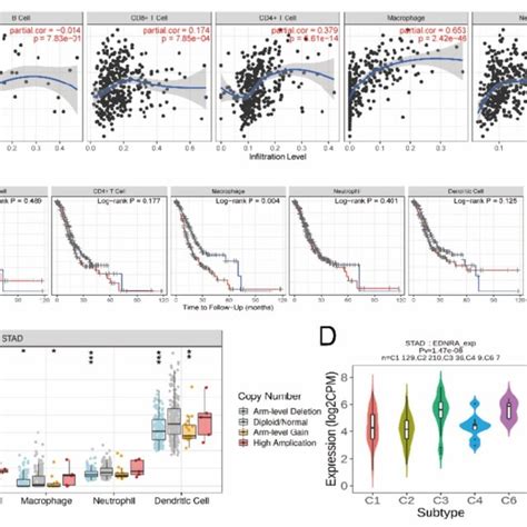The Immune Infiltration Landscape Of Ednra A Correlation Between