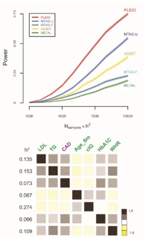 Evaluation Of Power In Alternate Simulations