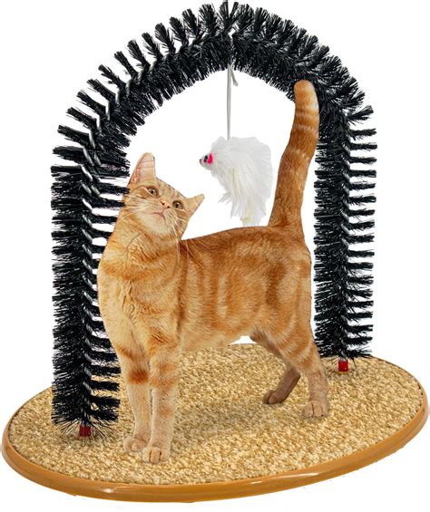 Gzys Cat Self Grooming Arch Toy And Post With Cat Mouse Toy Bristles Scratch Pad And Catnip