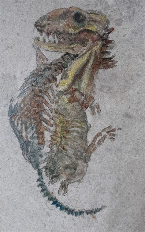 Fake Fossil I Had A Load Of Limestone Effect Tile Offcuts Left Over From Doing The Kitchen