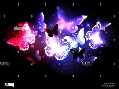 Swarm Of Glowing Night Butterflies On Night Black Background Stock