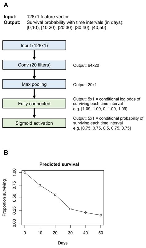 A Scalable Discrete Time Survival Model For Neural Networks [peerj]