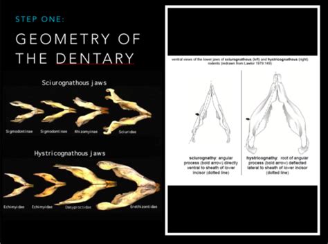 Powerpoint Quiz Flashcards Quizlet