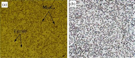 Microstructure Consisting Of Randomly Dispersed Particles Of M23c6