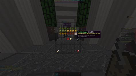 Bug Neu Profile Viewer In Dropper · Issue 250 · Notenoughupdates