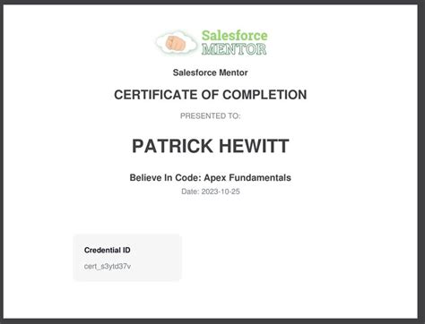 Patrick Hewitt On Linkedin Salesforce Apex Learningjourney