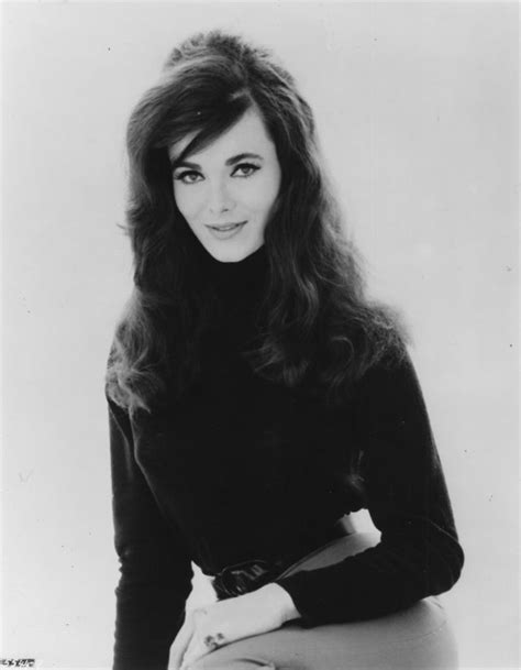 35 Glamorous Photos Of Israeli Actress Gila Golan In The 1960s
