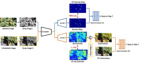 A Semi Supervised Deep Neural Network For Fruit Yield Estimation For Intelligent Agriculture A Semi Supervised Deep Neural Network For Fruit Yield Estimation For Intelligent Agriculture