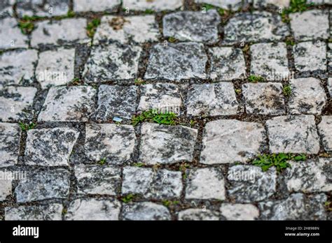 A Tiled Stack Stone Floor With Green Grass Plant As Texture Or