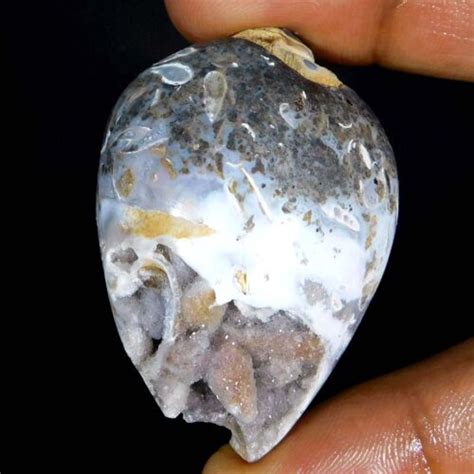 100 Natural Antique Fossil Snail Druzy 177 85cts Fancy Cabochon Loose