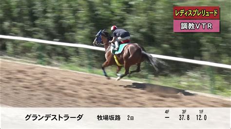 【第18回 レディスプレリュードjpnii】の調教追い切り動画 Youtube