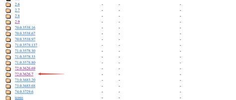 Selenium 安装与 Chromedriver安装 Rogn 博客园