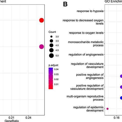 Protein Protein Interaction Networks A String Analysis Of Validated Download Scientific