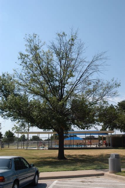 Dirt Doctor Library Topics