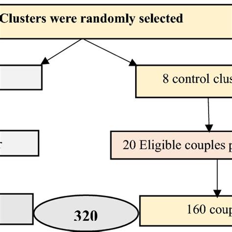 Consort Flow Diagram For A Cluster Randomized Trial In Rural Ethiopia
