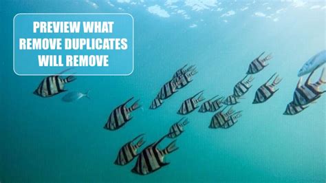 Excel Tips Mrexcel Publishing