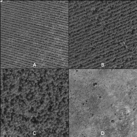 figure 1 from wavelet based texture modeling for the classification of