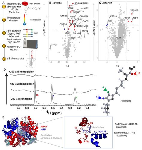 Proteome Integral Solubility Alteration Pisa Assay In Rbcs And A549