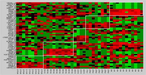 The Heatmap Of The Expression Levels Of The Most Frequently Selected