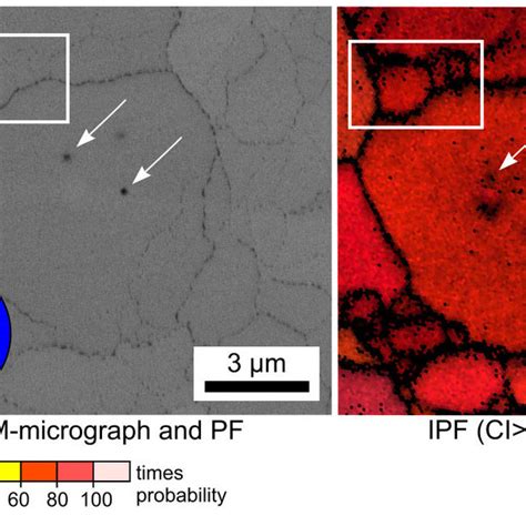 sem micrograph of the microstructure of an opaque sample annealed at