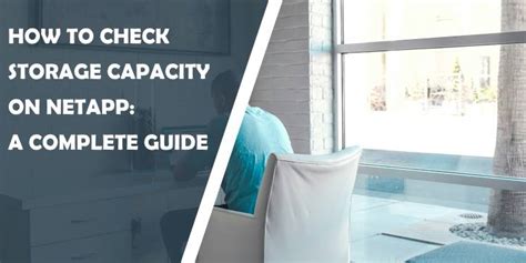 how to check storage capacity on netapp a complete guide wp pluginsify