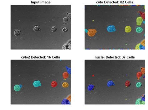 Choose Pretrained Cellpose Model For Cell Segmentation Matlab And Simulink