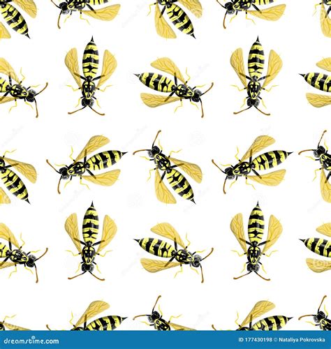 Seamless Pattern With Vasp On White Background Vector Illustration In Realistic Style Stock