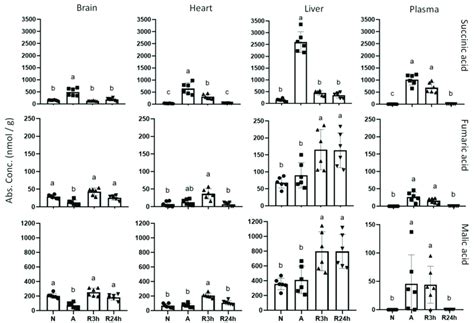 Tca Cycle Intermediates Succinic Acid Fumaric Acid And Malic Acid