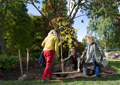 Gardening Jobs For The Weekend Plant Trees Now For Best Results
