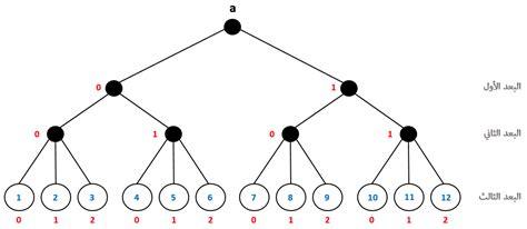 المصفوفات الثلاثية في البرمجة