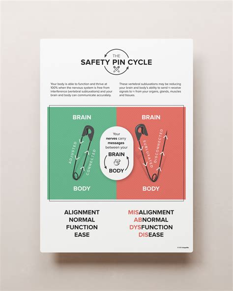 SPINAL NERVE CHART Poster By Kirografiks