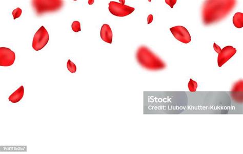 빨간 장미 꽃잎 프레임입니다 꽃 부분 비행 배경입니다 여름과 봄의 꽃 파도 발렌타인 데이 로맨틱 카드 행복한 여자 어머니의 날 뷰티 스파 제품 유기농 화장품 벡터 그림 0