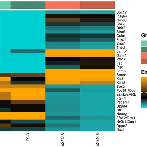 Nanostring Gene Expression Analysis A Heatmap Nanostring Analysis Of Download Scientific