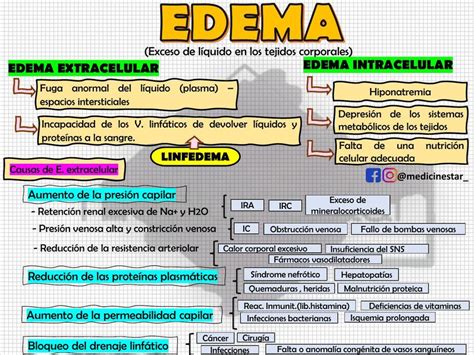 Mapa Conceptual Edema Clasificacion De Los Edemas Edema Edema Porn