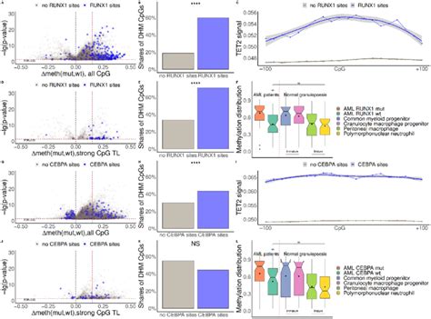 Adgj Difference In The Average Levels Of Dna Methylation Between Download Scientific