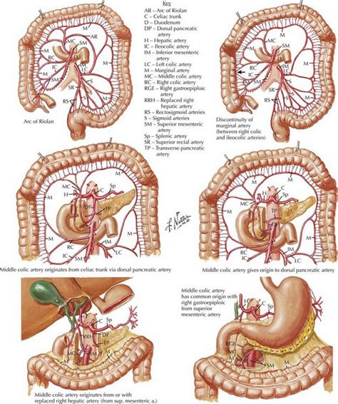 Right Colectomy Clinical Gate