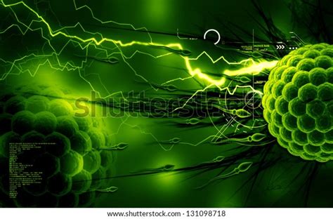 Digital Illustration Sperm Egg Colour Background Stock Illustration