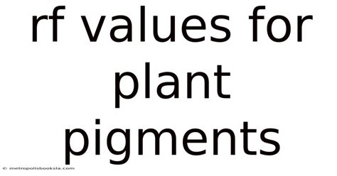 Rf Values For Plant Pigments