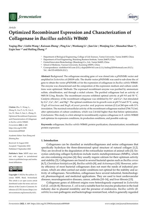 Pdf Optimized Recombinant Expression And Characterization Of Collagenase In Bacillus Subtilis